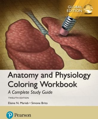 hemostasis anatomy and physiology coloring workbook pages